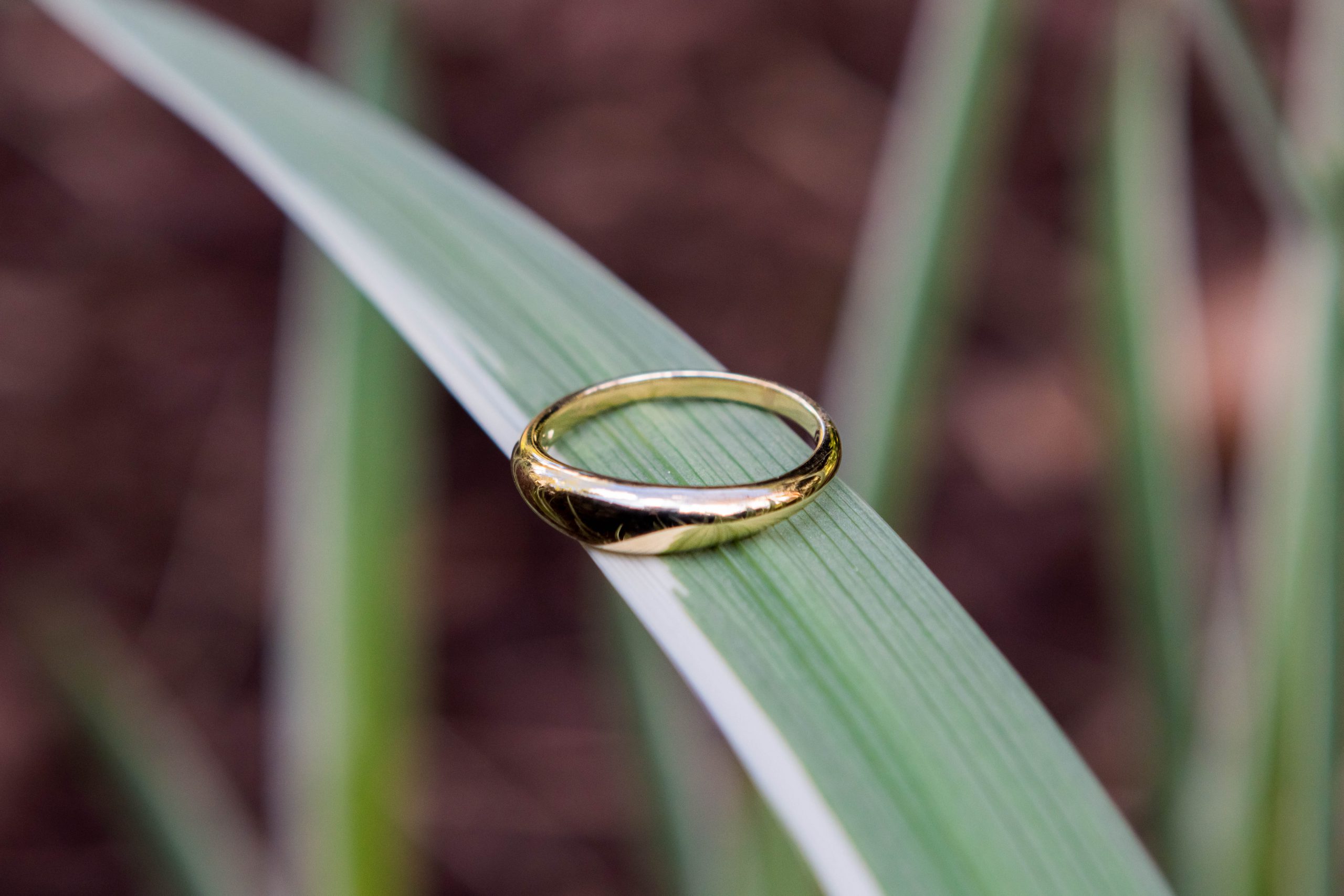 Bailey’s Heritage Collection Gold Dome Ring – Bailey's Fine Jewelry