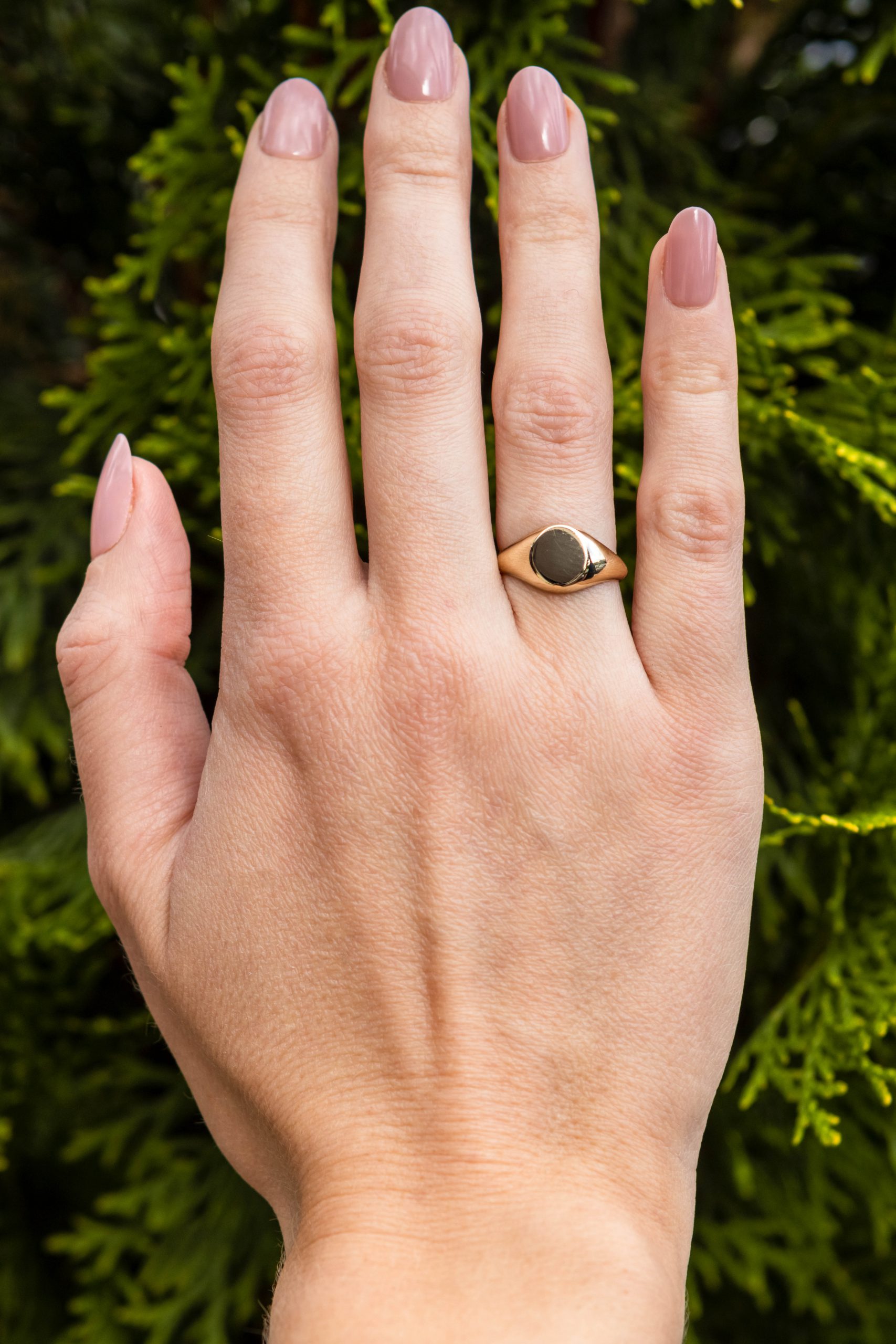 Bailey’s Heritage Collection Worlds Most Perfect Signet Mini – Bailey's ...